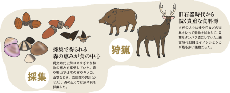 縄文〜弥生〜古墳時代 私たちの祖先の食事情～古代ニッポンの人々は、一体何を食べていたのか？【古墳ライターが旅した、見た、聞いた！vol.2-1 ...